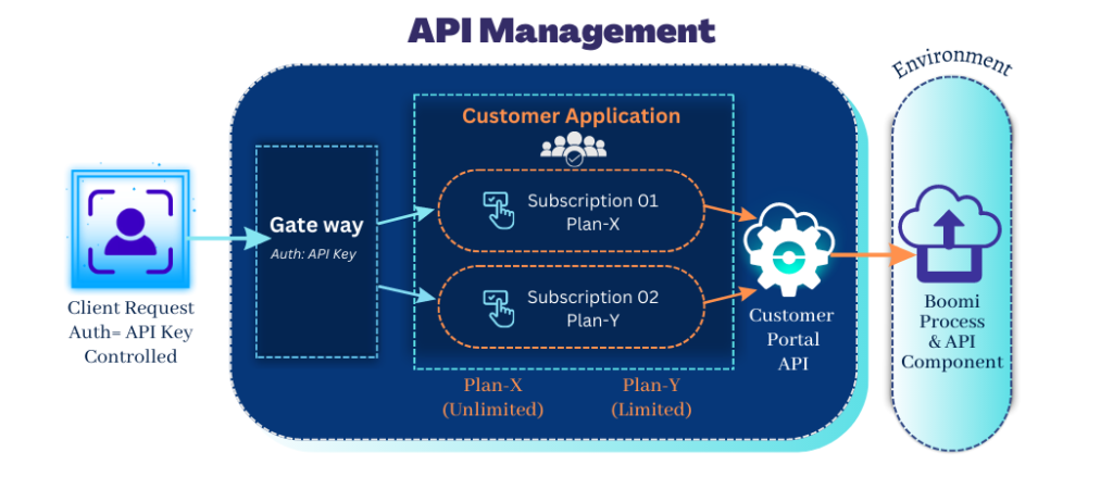 Boomi Integration Platform & API Management Services