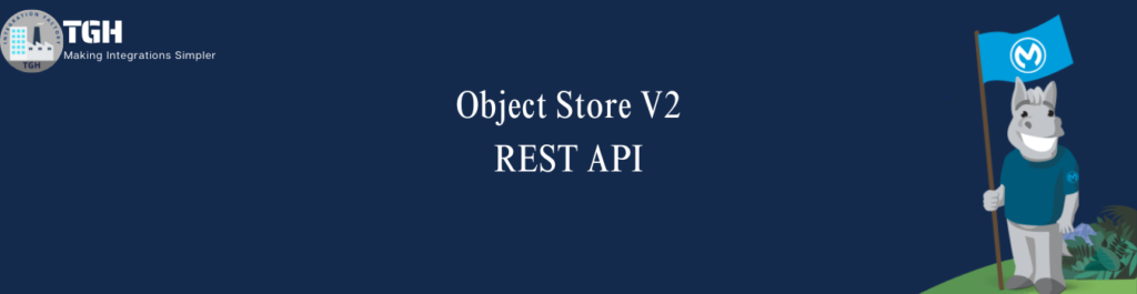 Object Store V2 REST API - TGH